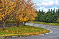 Autumn Colours - Sulby Bridge - Manx Scenes Photography