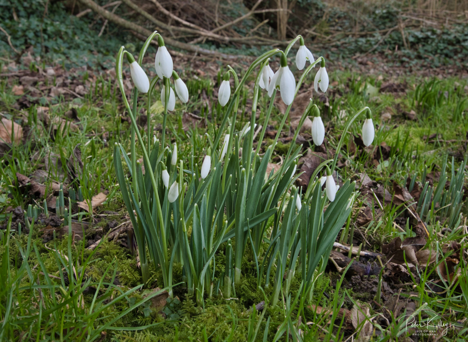 Manx Scenes Photography - Page 16 of 95 - A non stop photographic ...