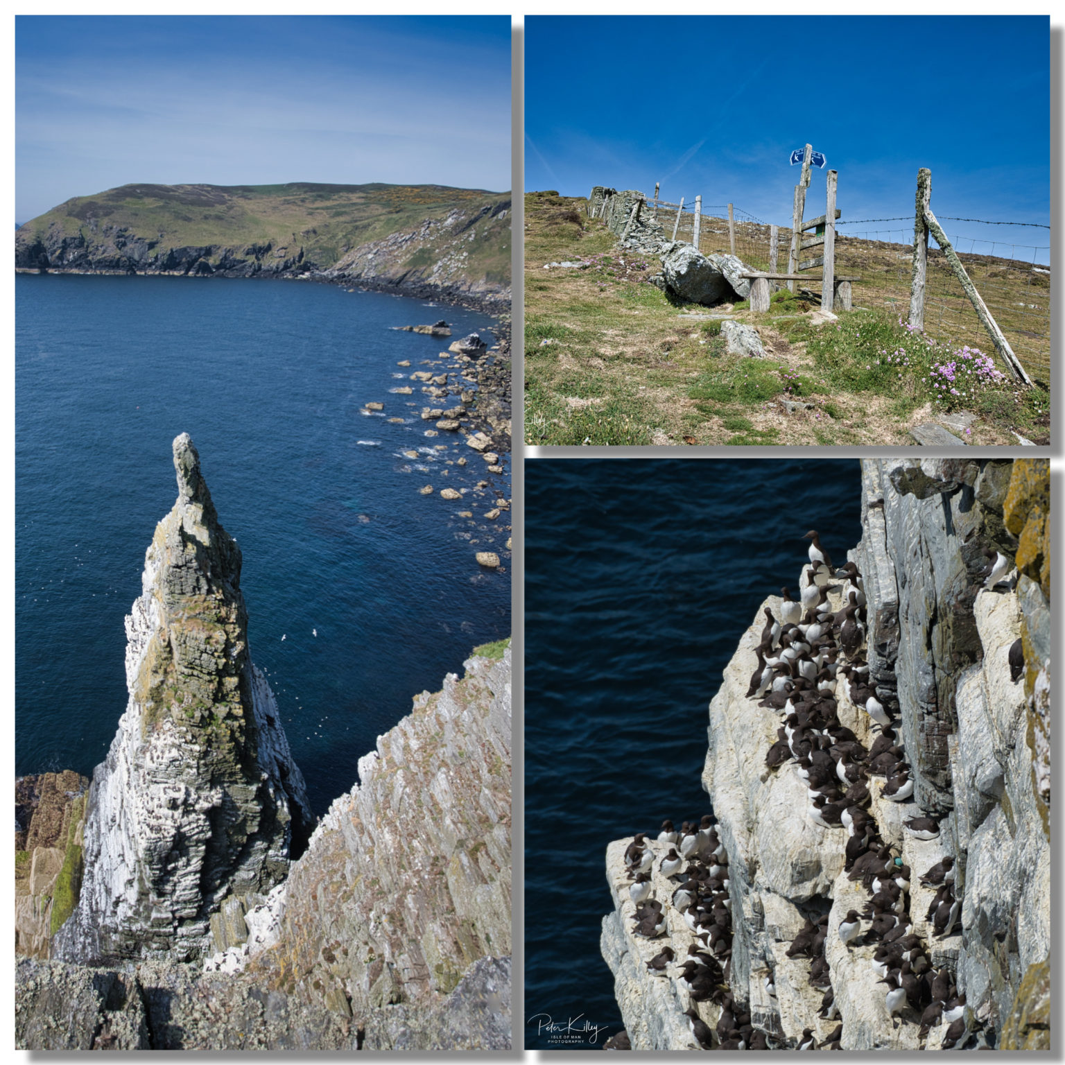 The Chasms and Sugarloaf Rock - Manx Scenes Photography