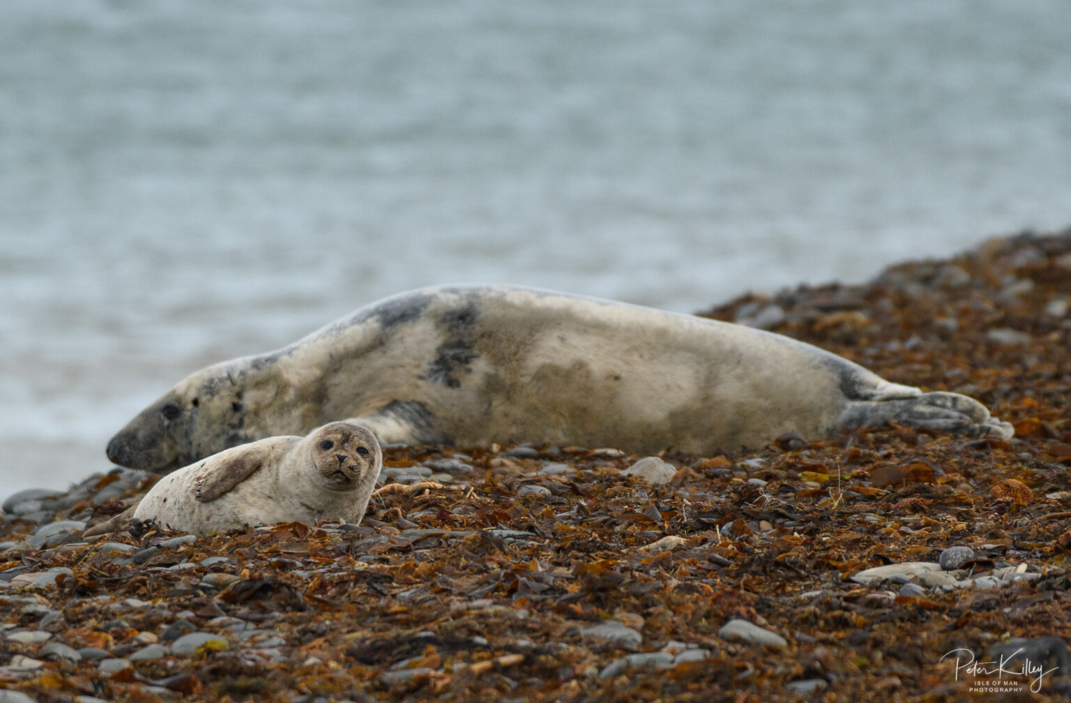 Manx Scenes Photography - Page 5 of 97 - A non stop photographic ...