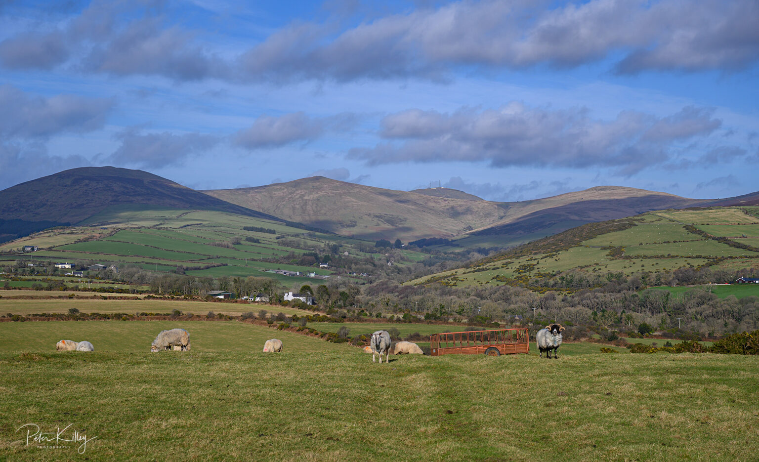 Manx Scenes Photography - Page 7 of 100 - A non stop photographic ...