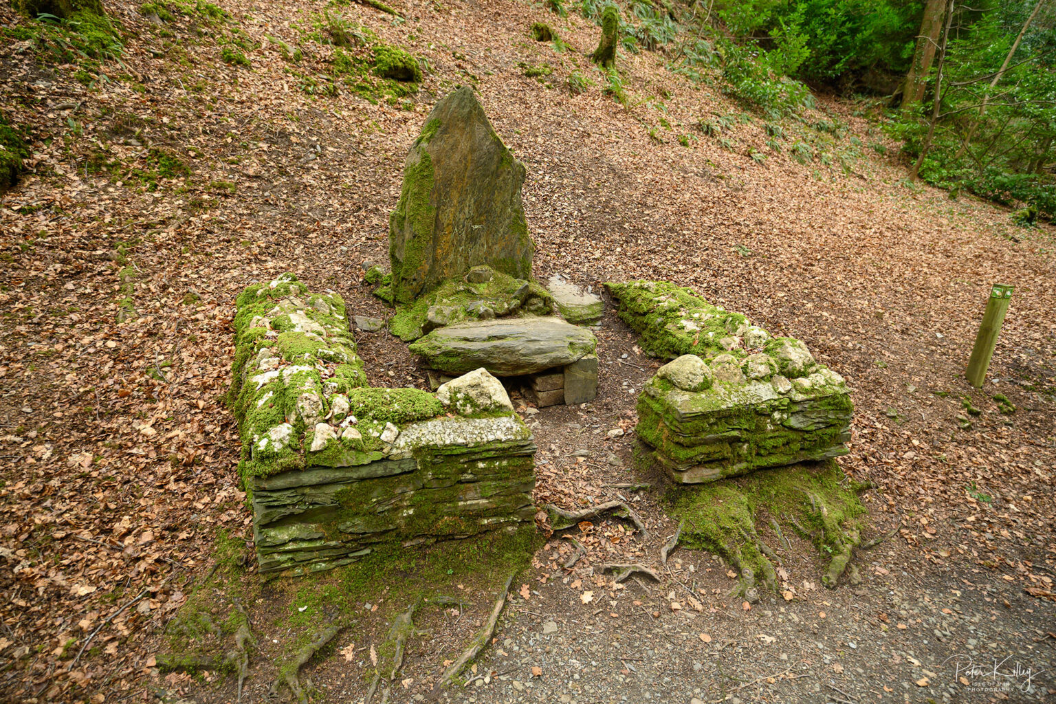 Glen Helen and Rhenass Waterfall - Manx Scenes Photography
